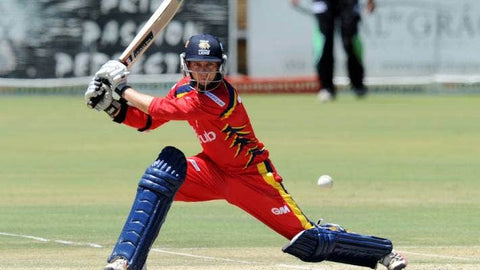 Dominance Redefined: Uniswift's Black Prince Cricket Bat – UniSwift ...